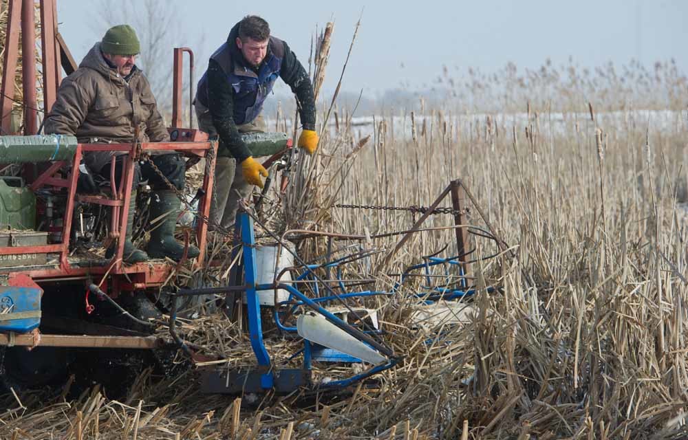 Groen, rechts en gevaarlijk? | 360 Magazine